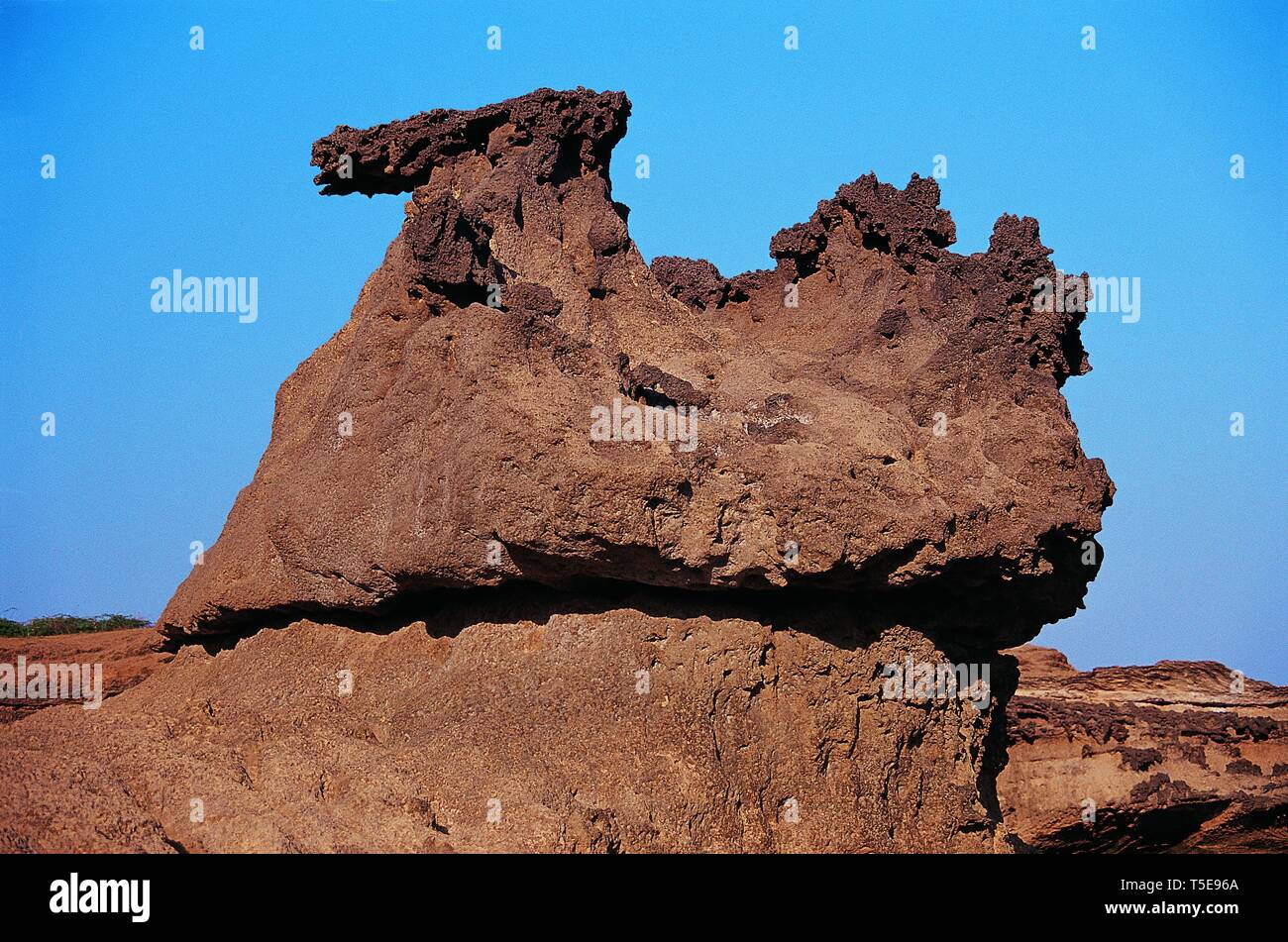 Aji 267154 hi-res stock photography and images - Alamy