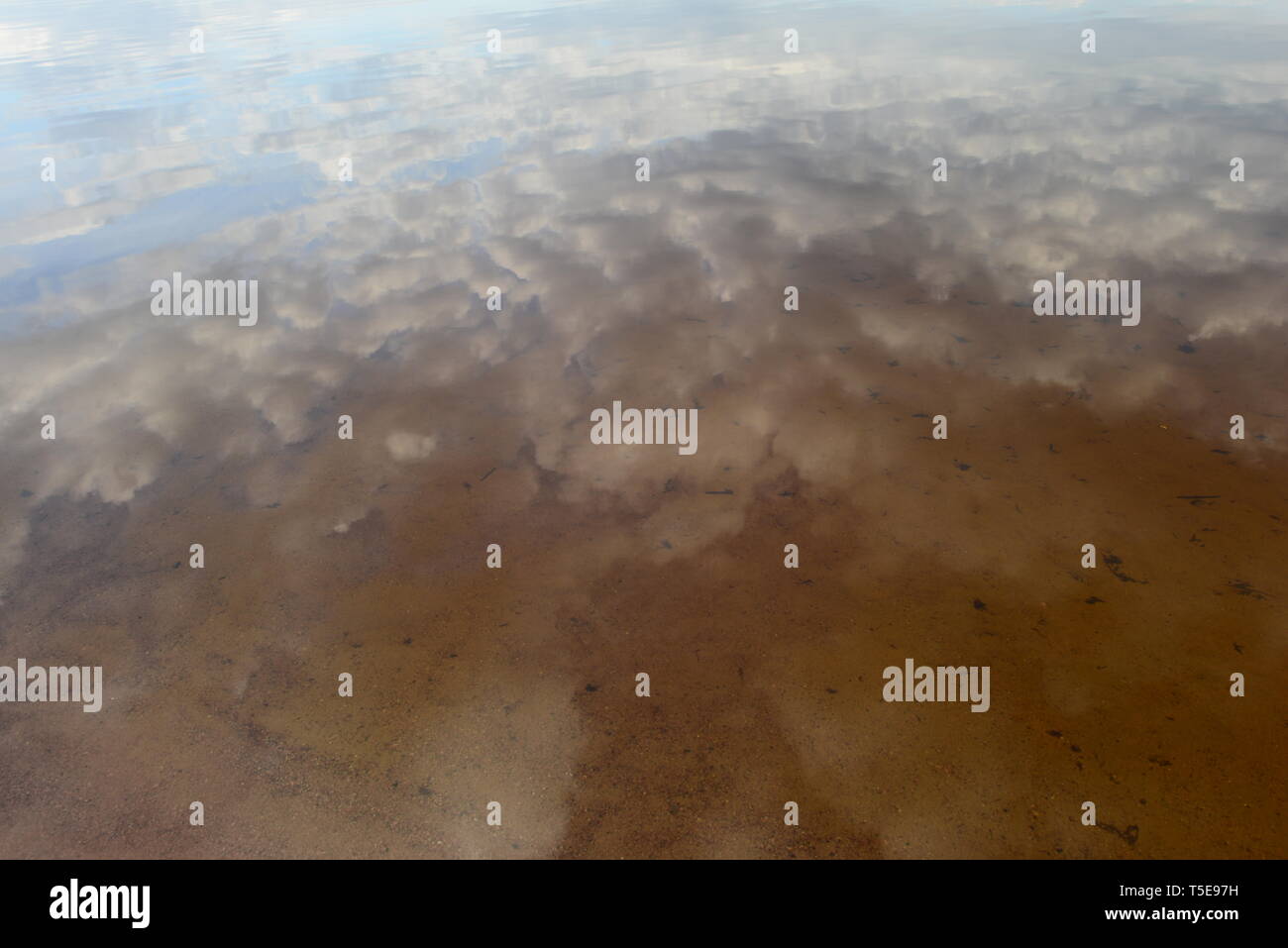 Reflected sky on the water surface of a sandy beach lake Stock Photo ...