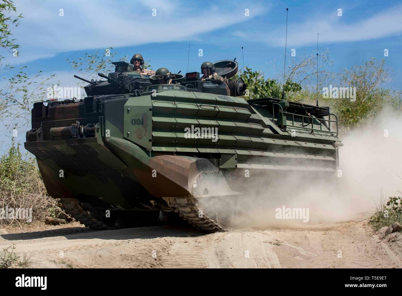 Assault amphibious vehicles (AAV) carrying Marines from 3rd Battalion ...