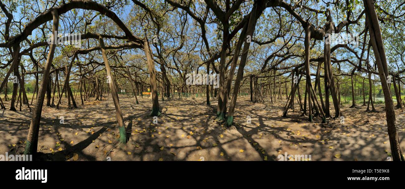 Chandra west hi-res stock photography and images - Alamy