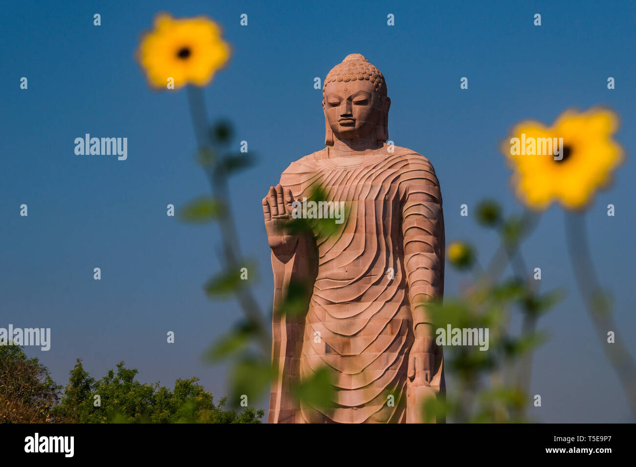 Statue of Buddha Sarnath, Uttar Pradesh, India, Asia Stock Photo - Alamy