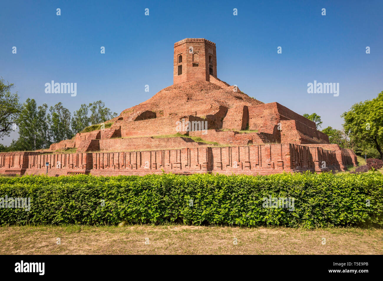 Chaukhandi Buddhist Stupa, Sarnath, Uttar Pradesh, India, Asia Stock ...