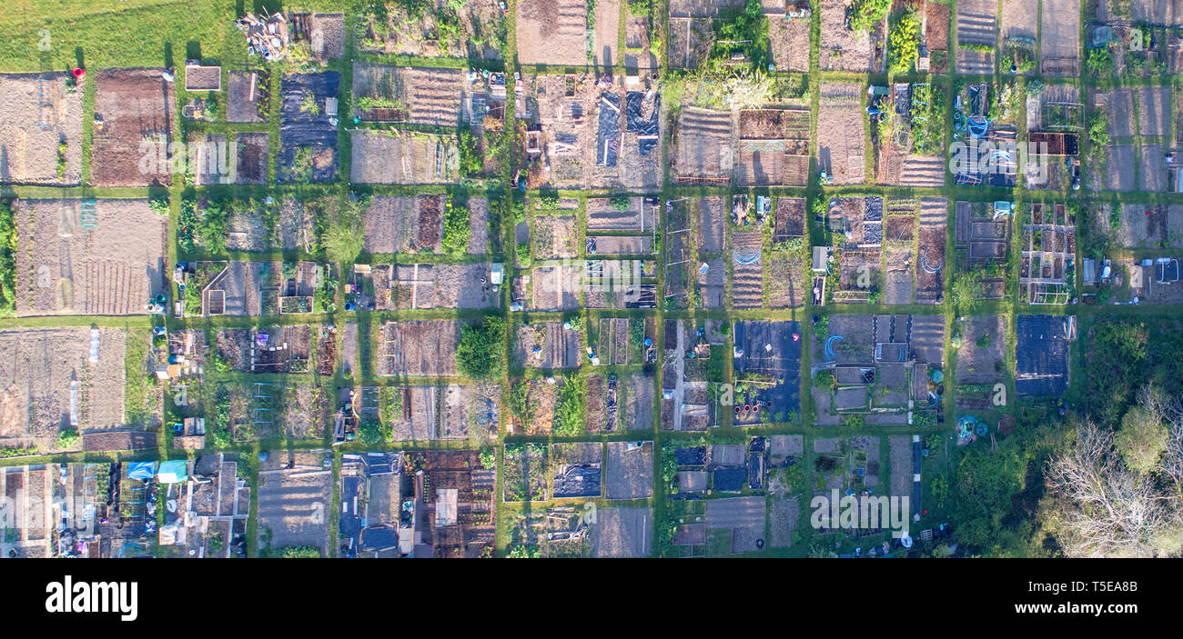 aerial view of allotments in spring in burgess hill west sussex taken ...