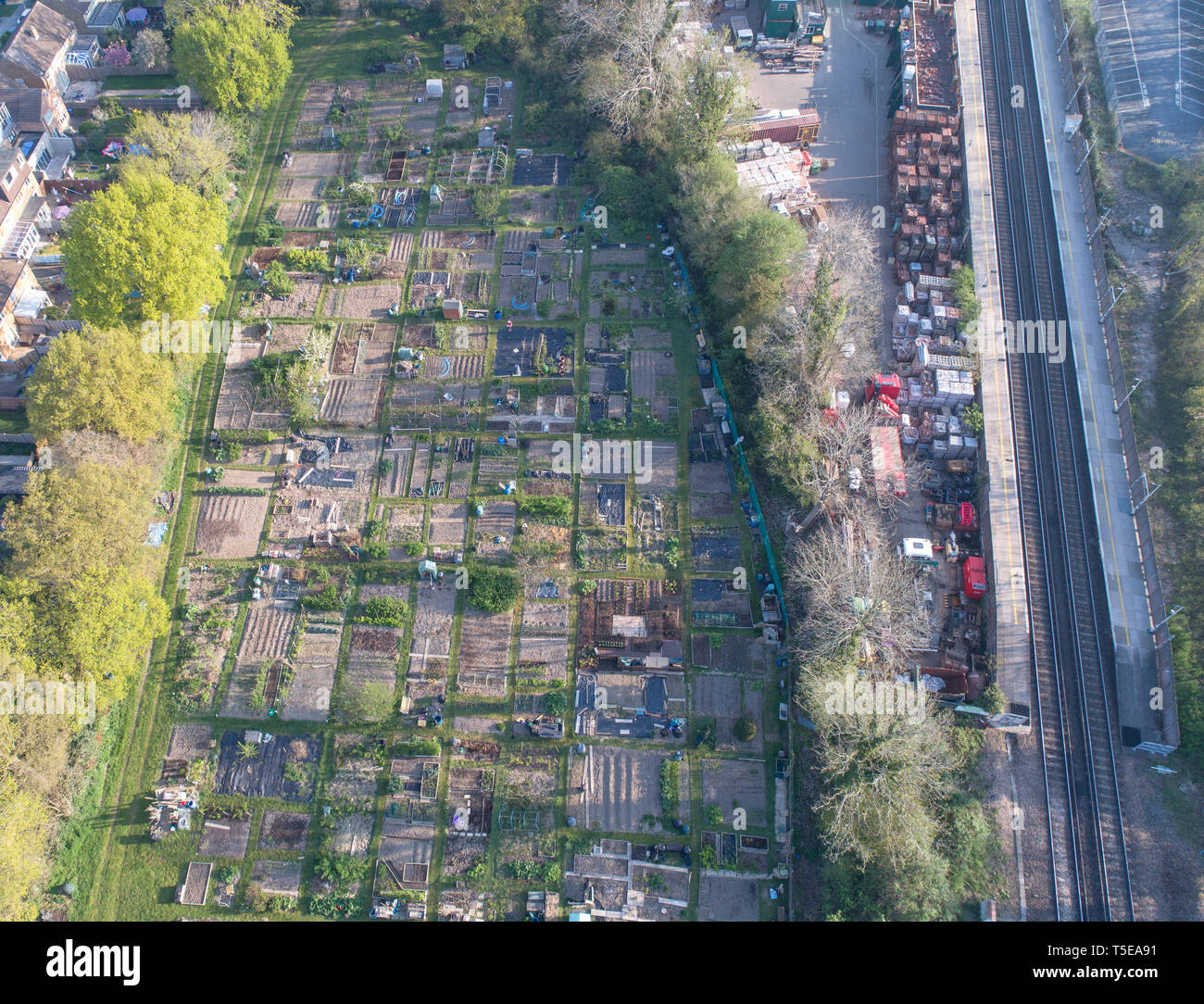 aerial view of allotments in spring in burgess hill west sussex taken ...