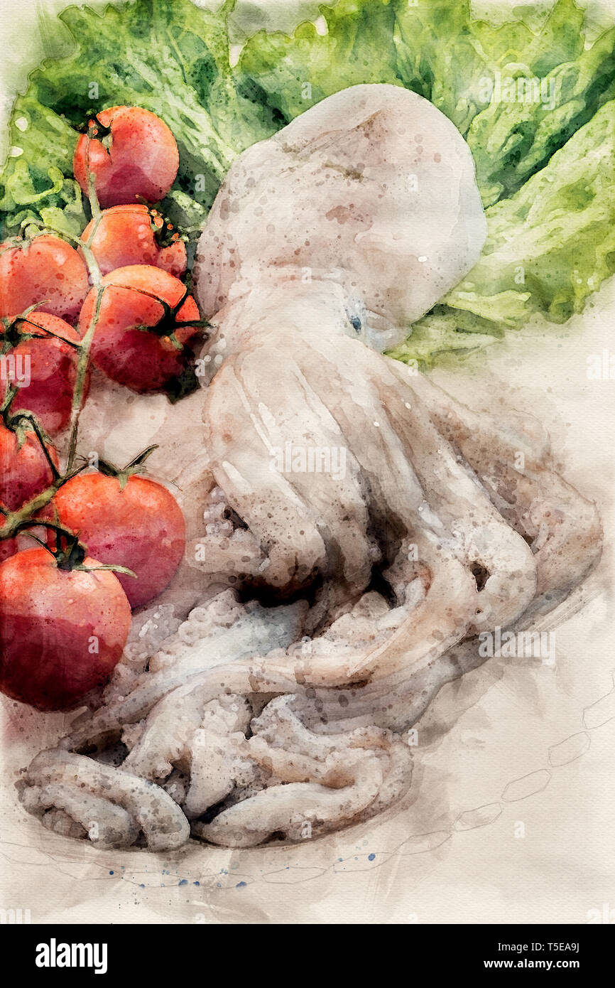 moscardino polpo giovane insalata verde e pomodori Stock Photo - Alamy