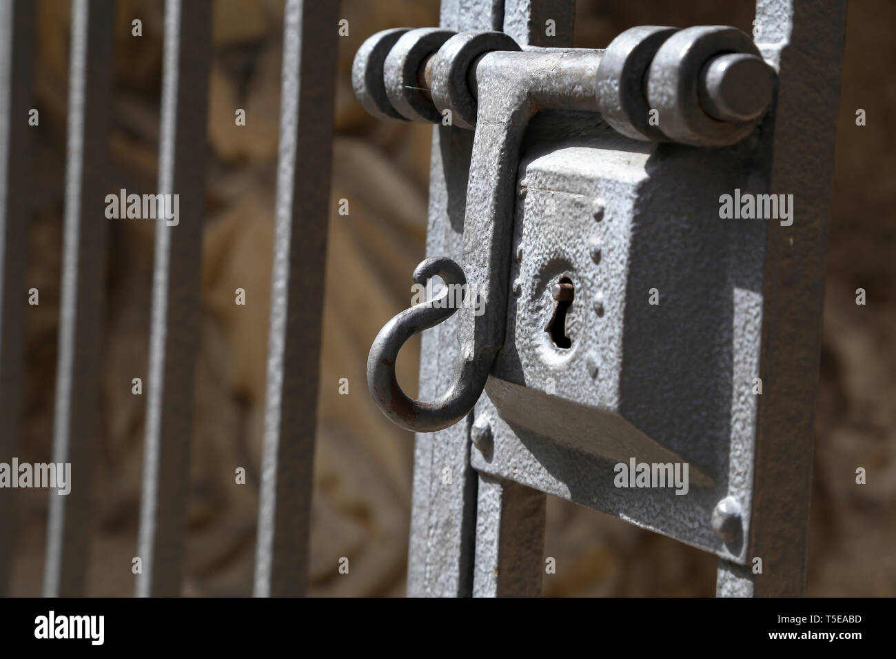 An ancient castle on a metal gate Stock Photo - Alamy