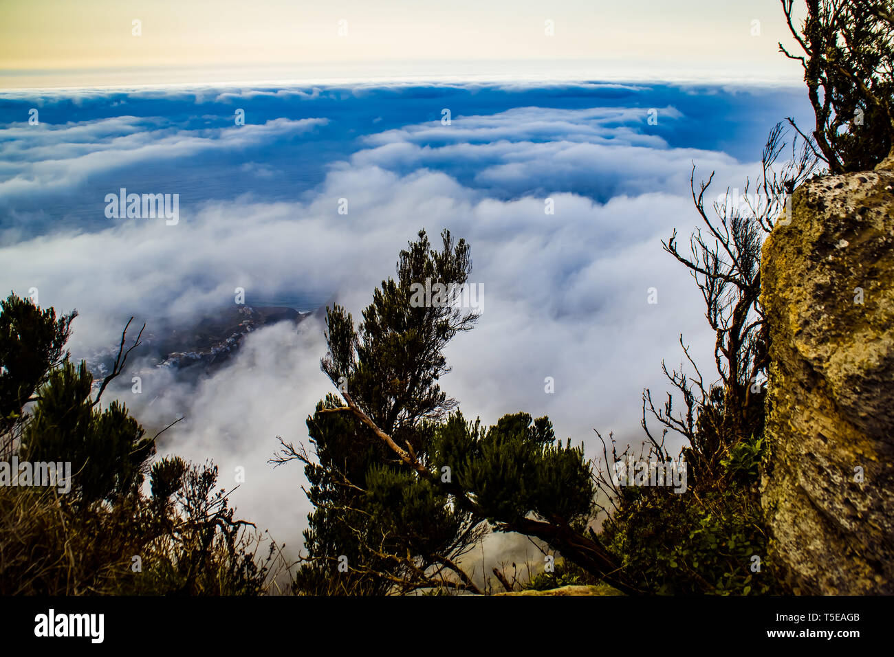 Anaga impressions. The evergreen national park of Anaga, on Tenerife is ...