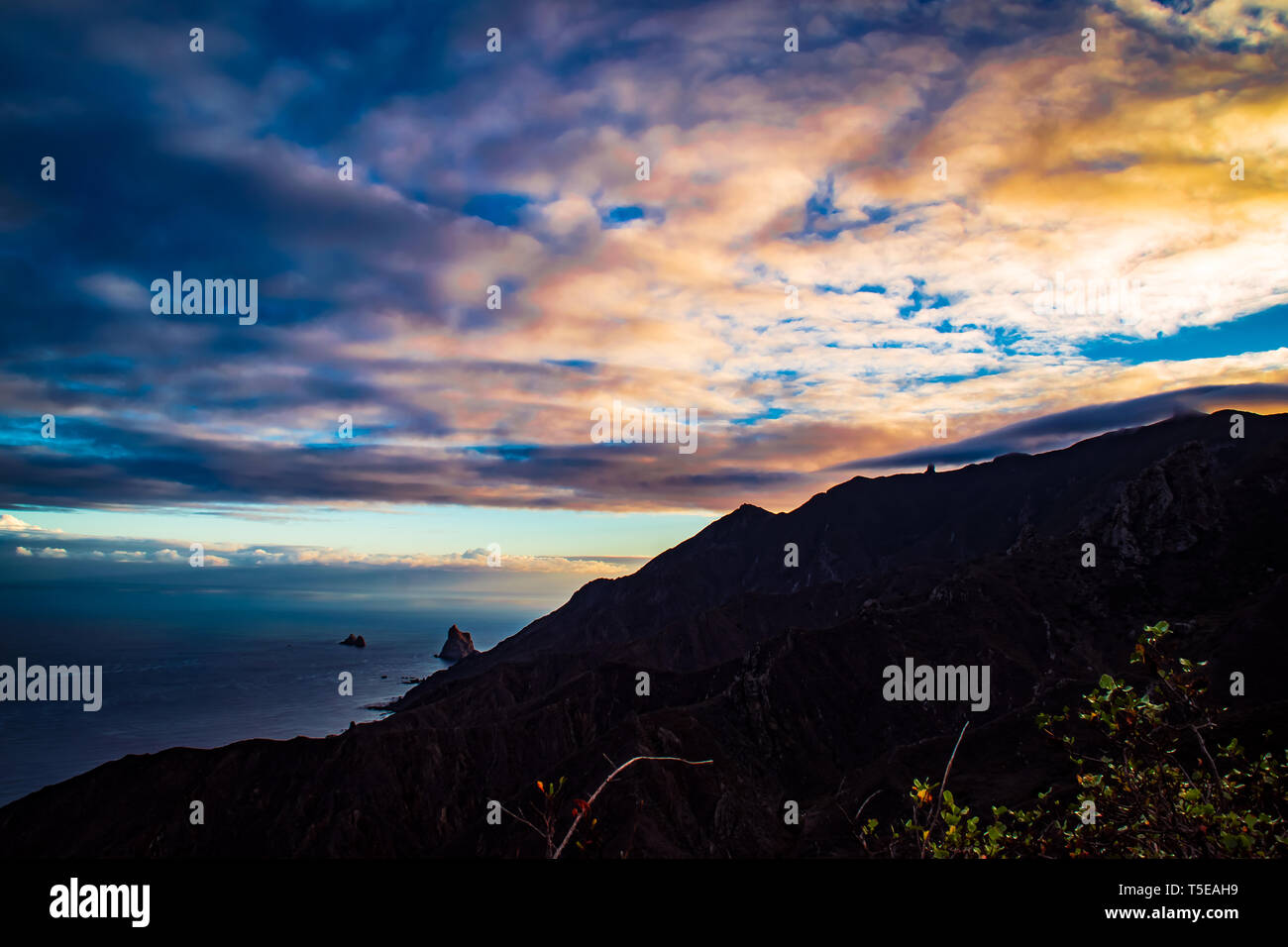 Anaga impressions. The evergreen national park of Anaga, on Tenerife is ...