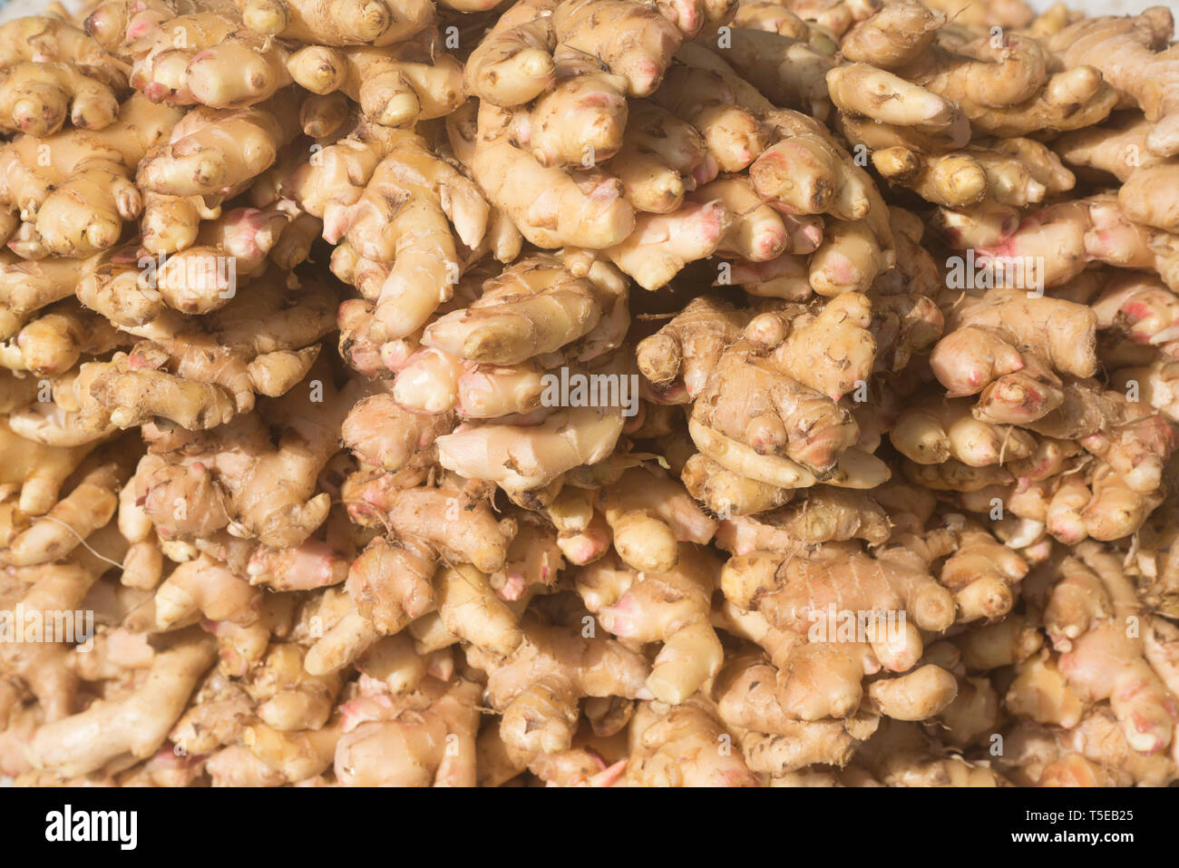 Spices Ginger root kept for sell in Mandai at Pune Maharashtra India ...