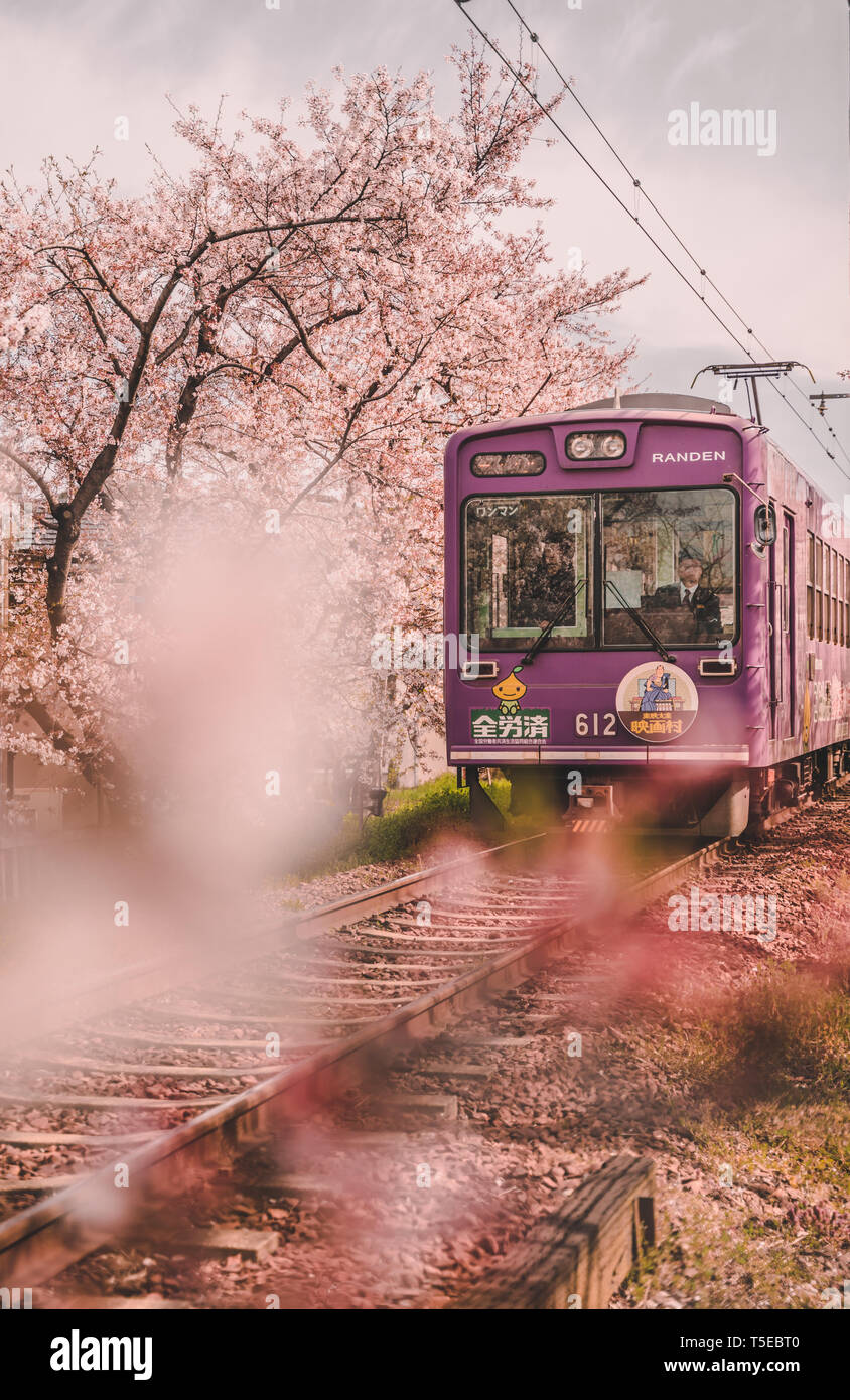 Tunnel of sakura hi-res stock photography and images - Alamy