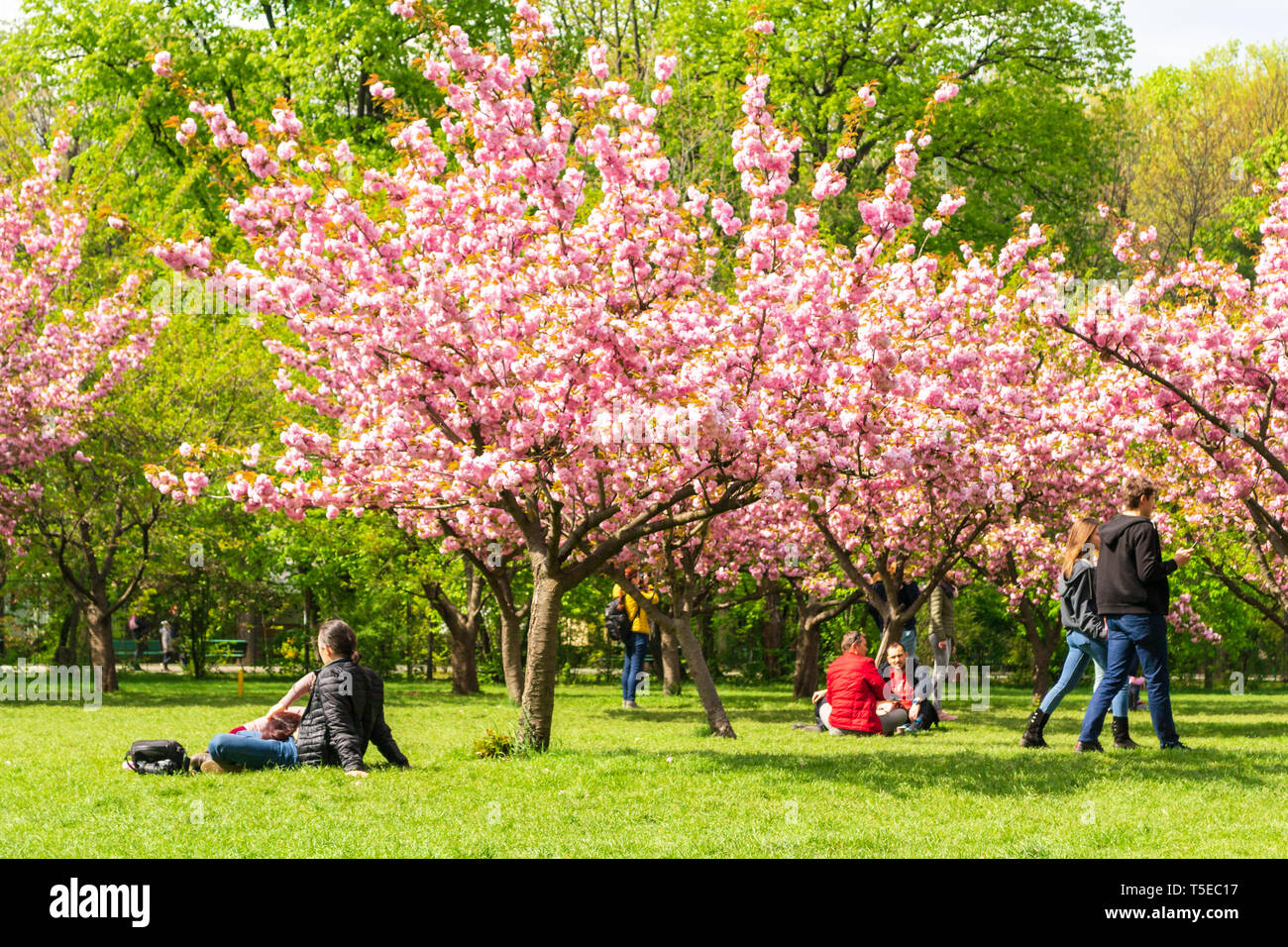 April trees hi-res stock photography and images - Alamy
