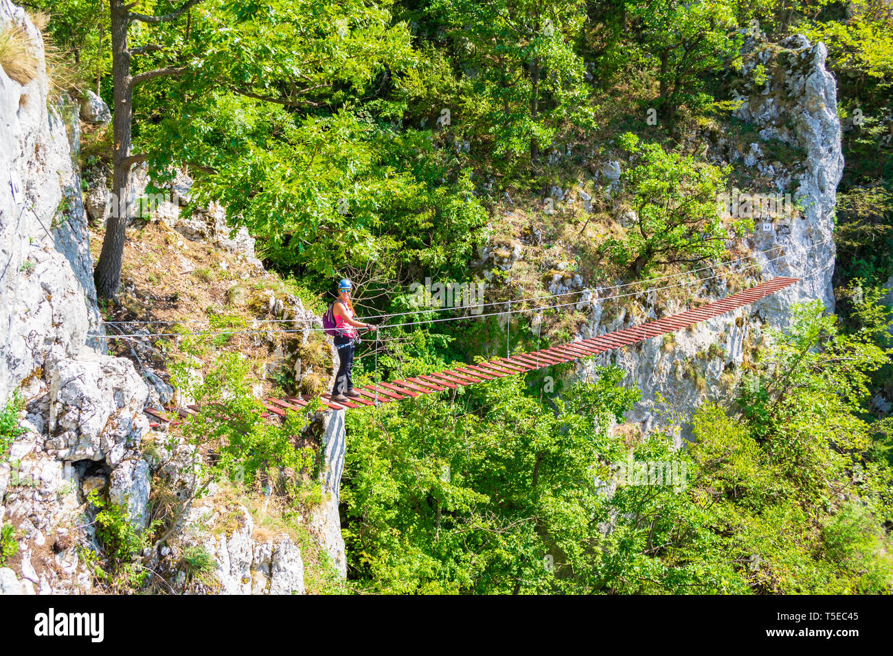 Lady tourist on suspended wooden via ferrata bridge on a route called ...
