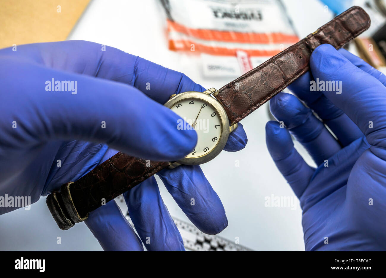 Police scientist working in Criminalistic Lab, victim clock analysis ...
