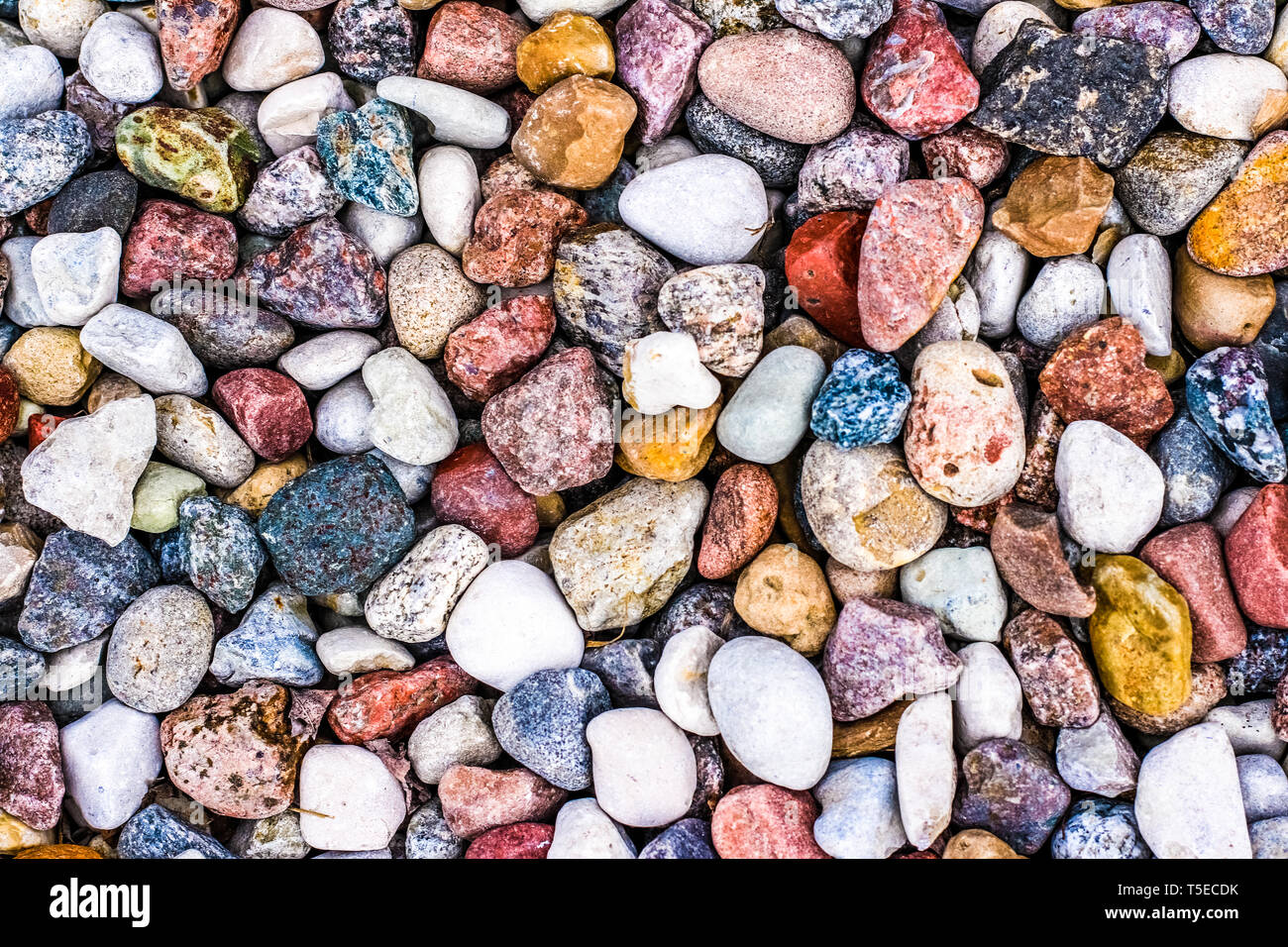 Landscape architecture, interior design and nature elements concept ...