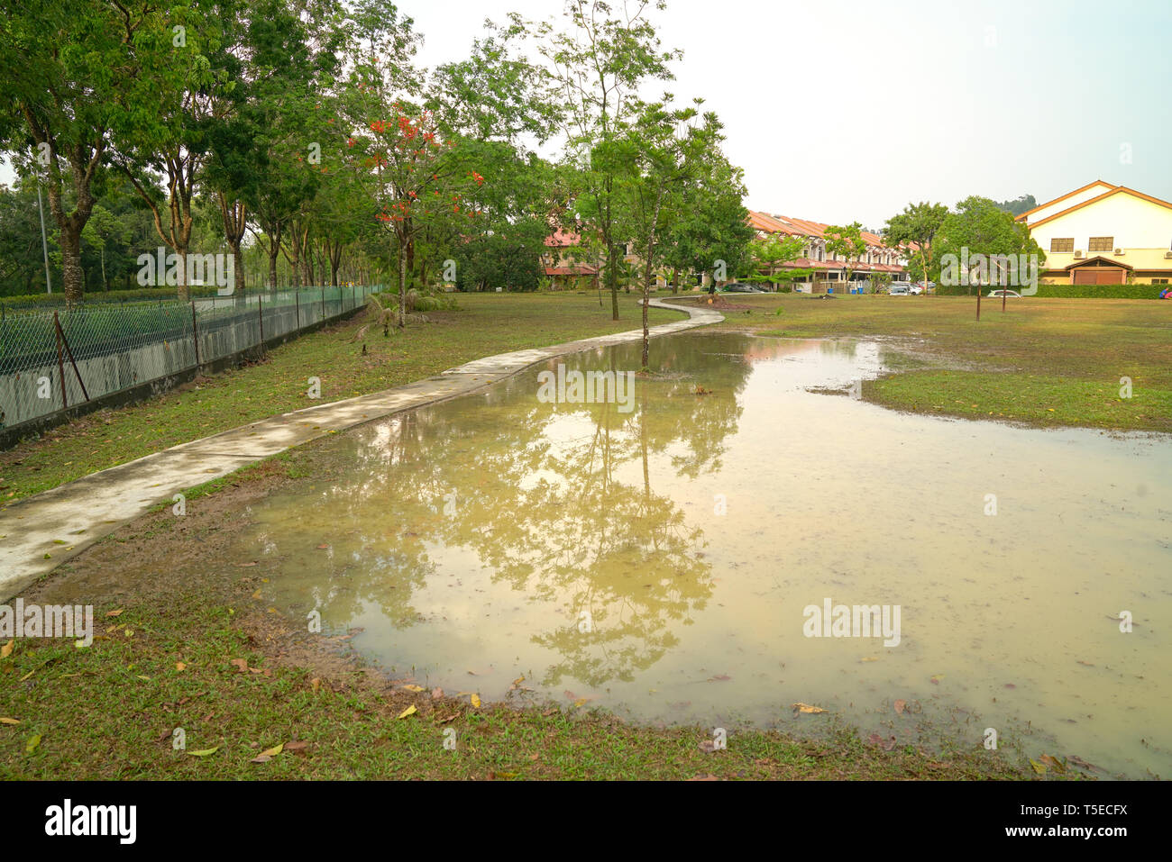 Flooded park after rain, reflection of trees on water puddle Stock ...