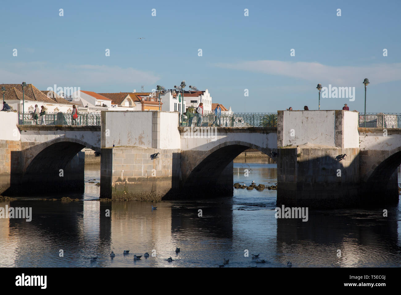 Roman bridge tavira hi-res stock photography and images - Alamy