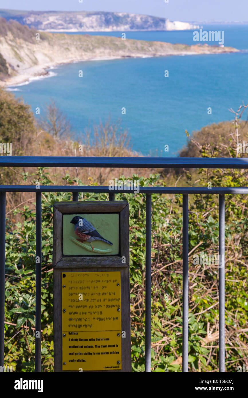 Information board uk woodland hi-res stock photography and images - Alamy