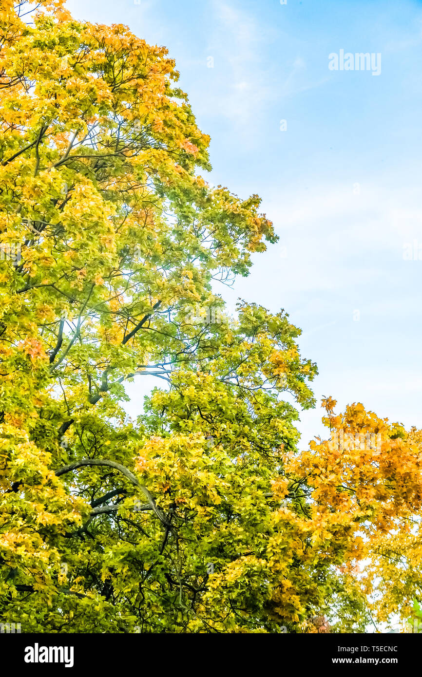 Fall beauty, weather and seasons concept - Autumn nature scene ...