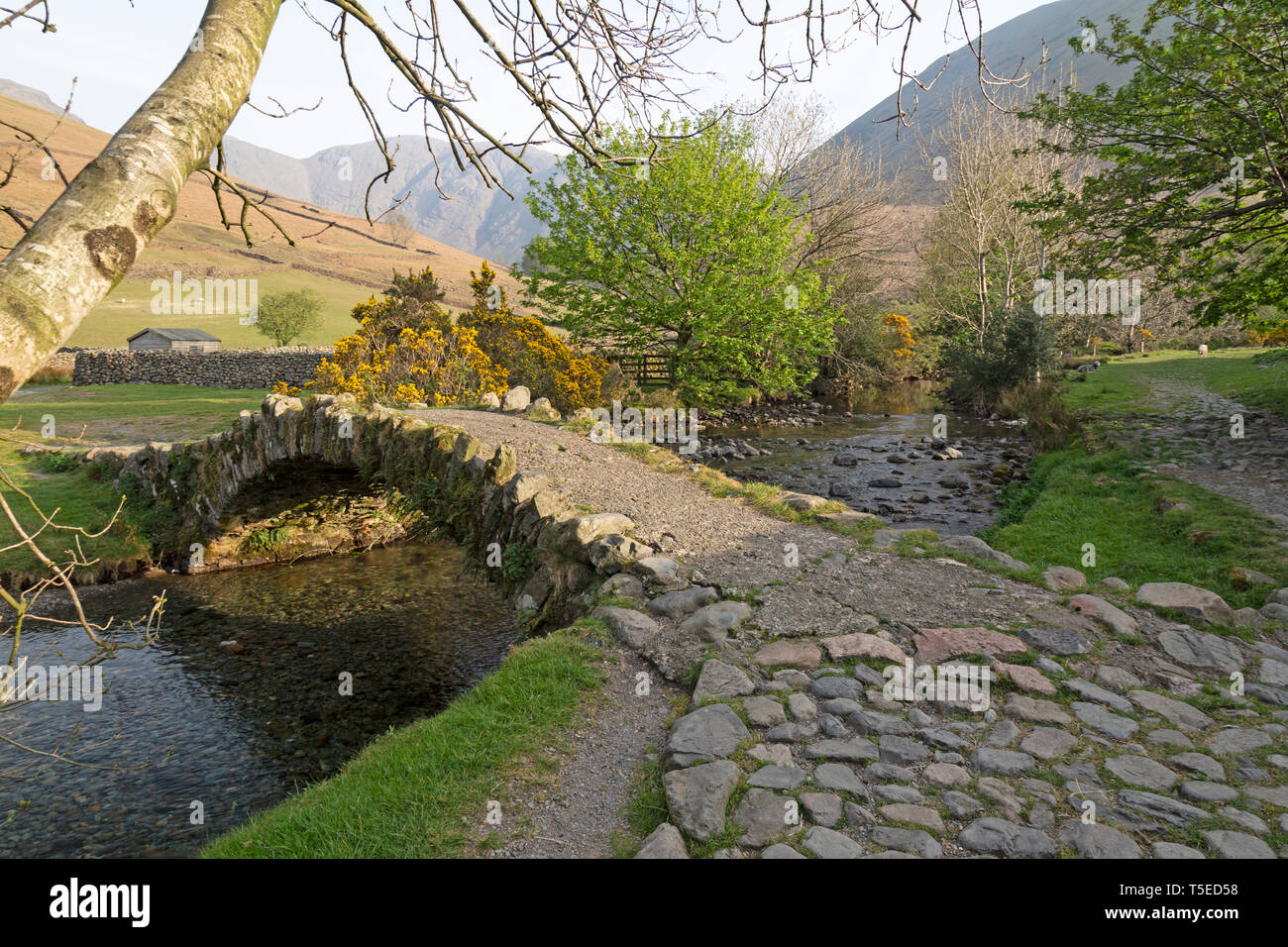 An old stone footbridge over Mosedale Beck near Wasdale Head in the ...