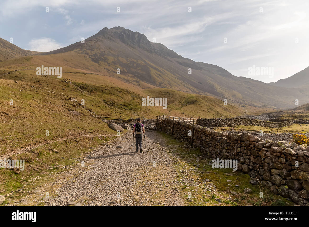 A female hiker on a path known as Moses Trod in the Lake District ...