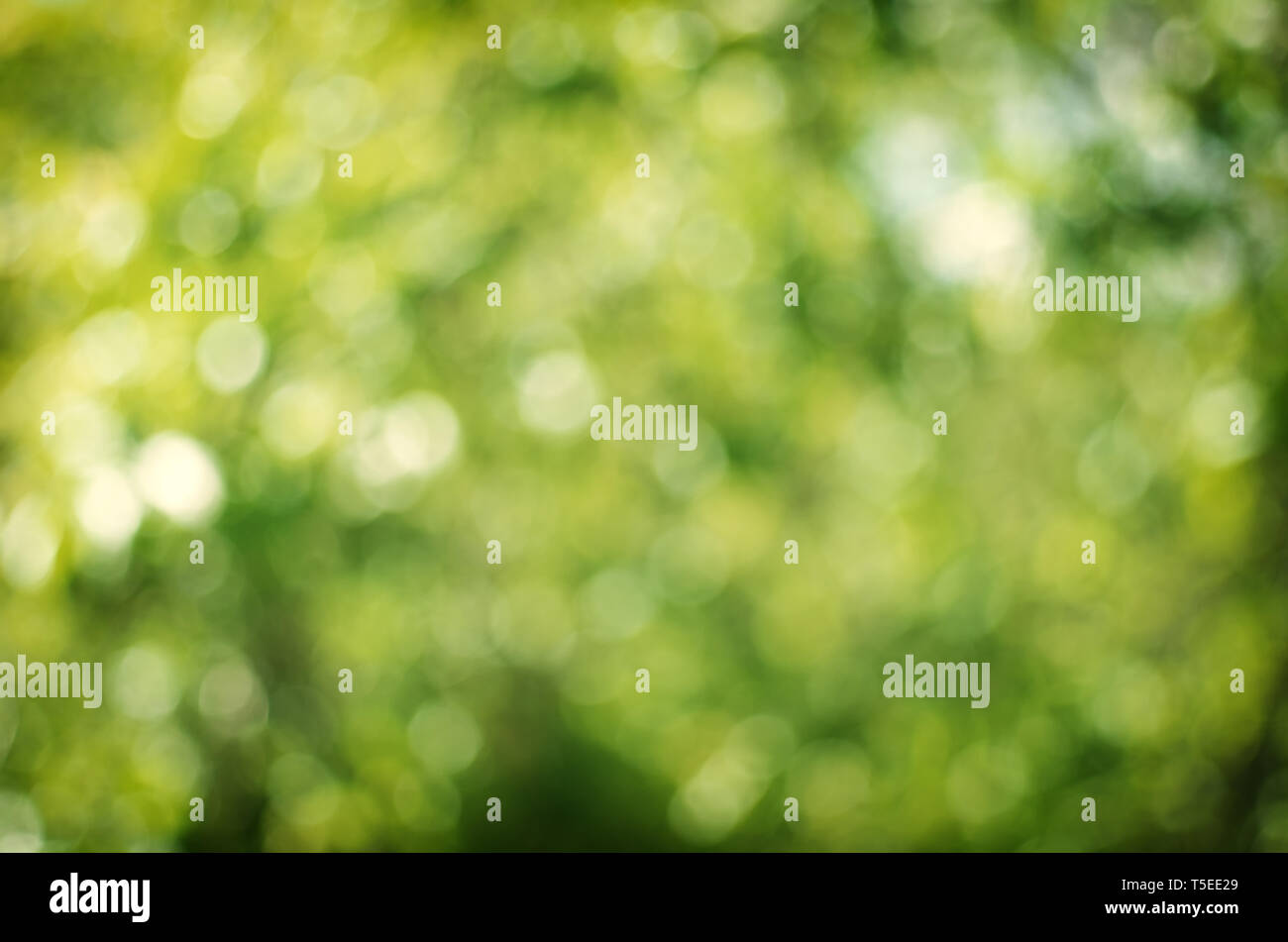 Bokeh background. Element of design Stock Photo - Alamy