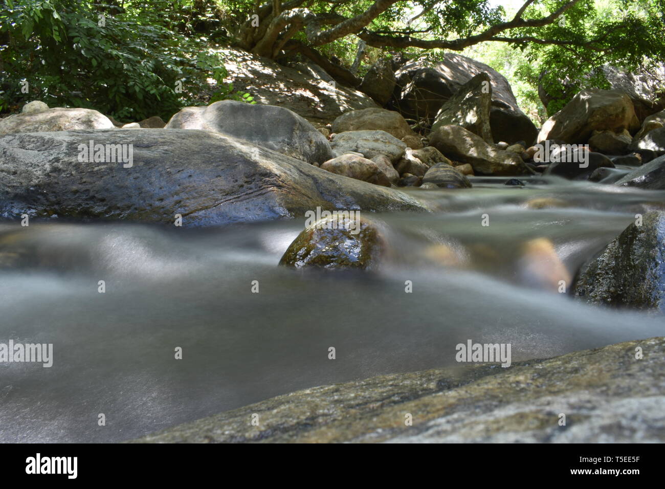 Kurangani hills trekking hi-res stock photography and images - Alamy