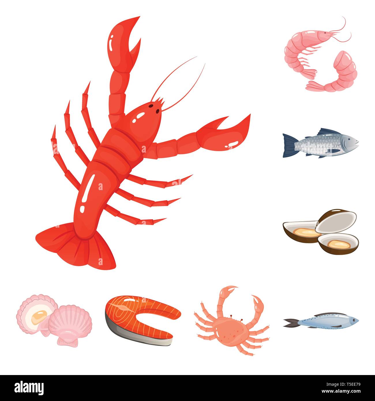 lobster,shrimp,salmon,mussel,jellyfish,crab,crayfish,prawn,fish,jelly ...