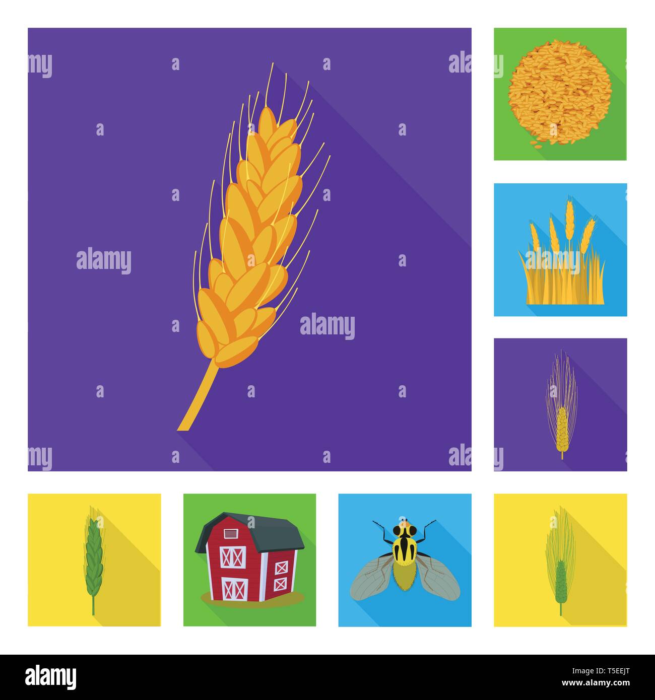 spring,barley,granary,fly,spike,seeds,building,insect,food,rural,ripe ...