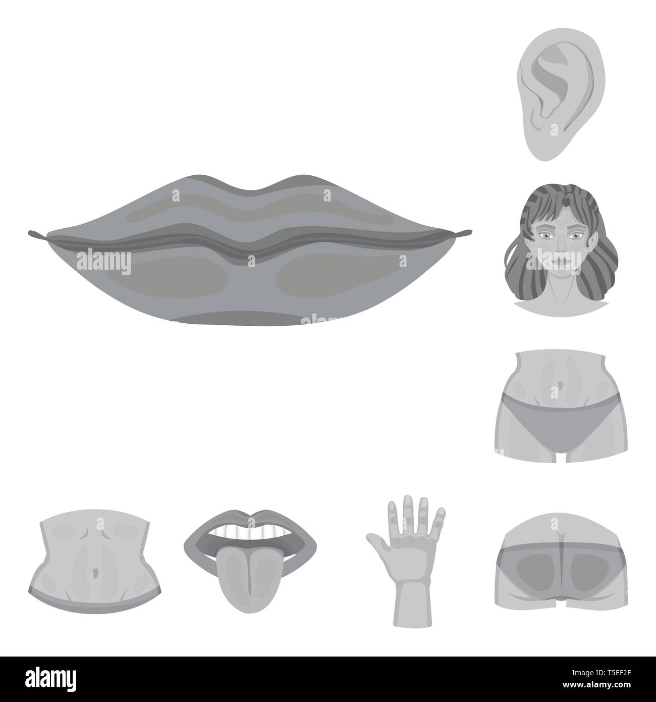 Isolated object of body and part symbol. Set of body and anatomy stock ...