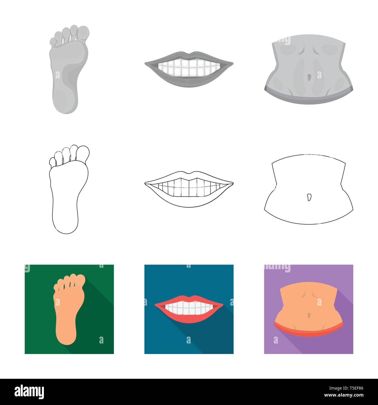 Vector design of body and part icon. Collection of body and anatomy ...