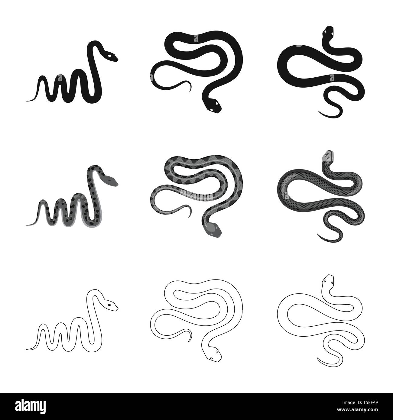 Large python snake Black and White Stock Photos & Images - Alamy