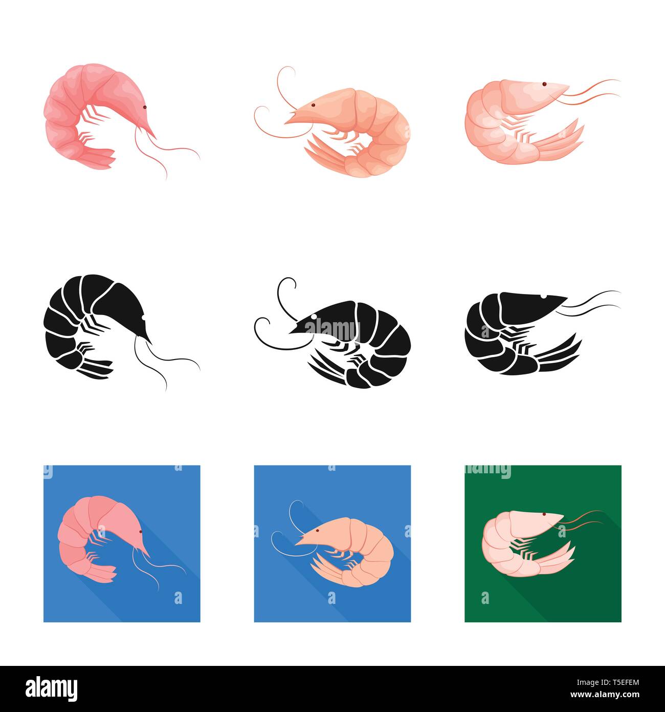 Atlantic prawn Stock Vector Images - Alamy