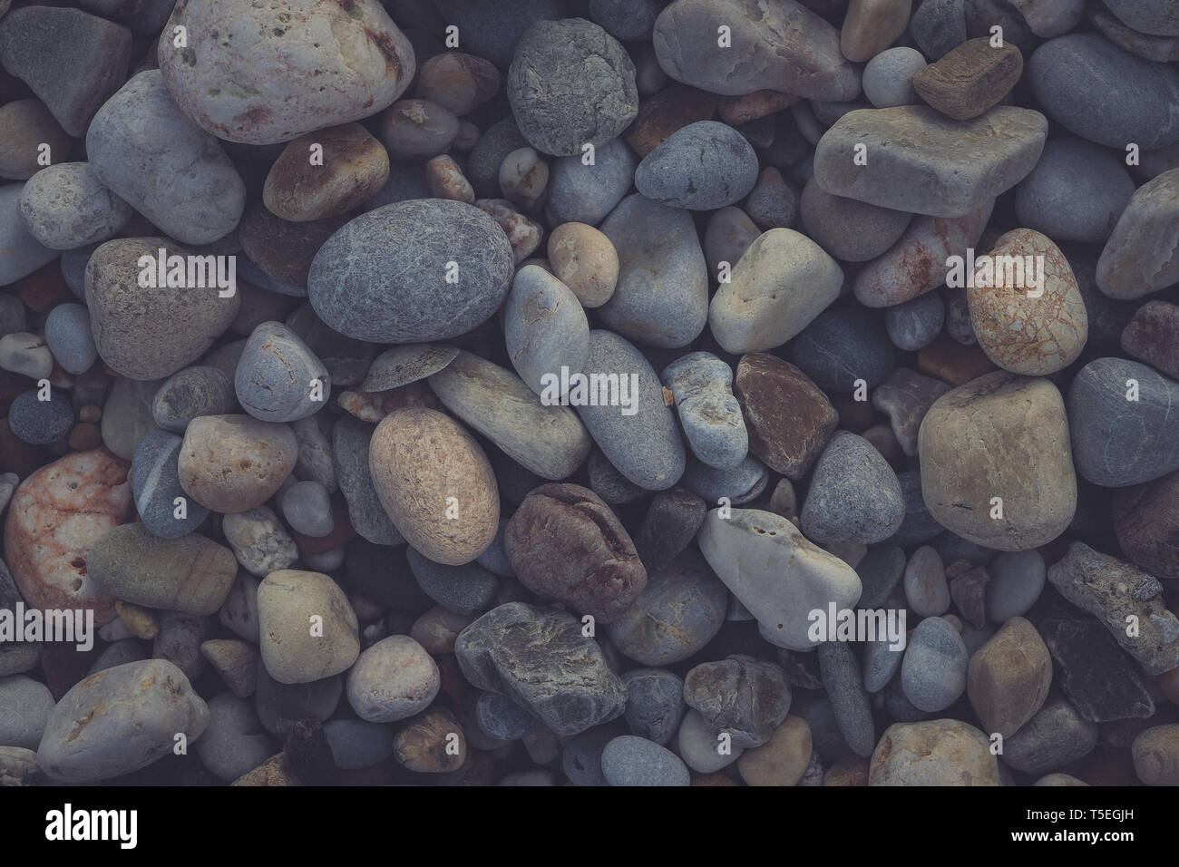 Marine harmony hi-res stock photography and images - Alamy