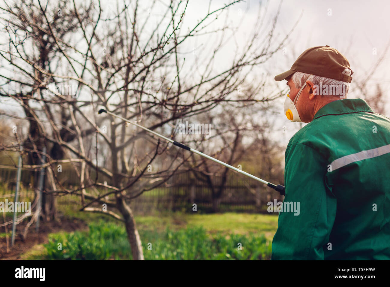 Senior farmer spraying tree with manual pesticide sprayer against ...
