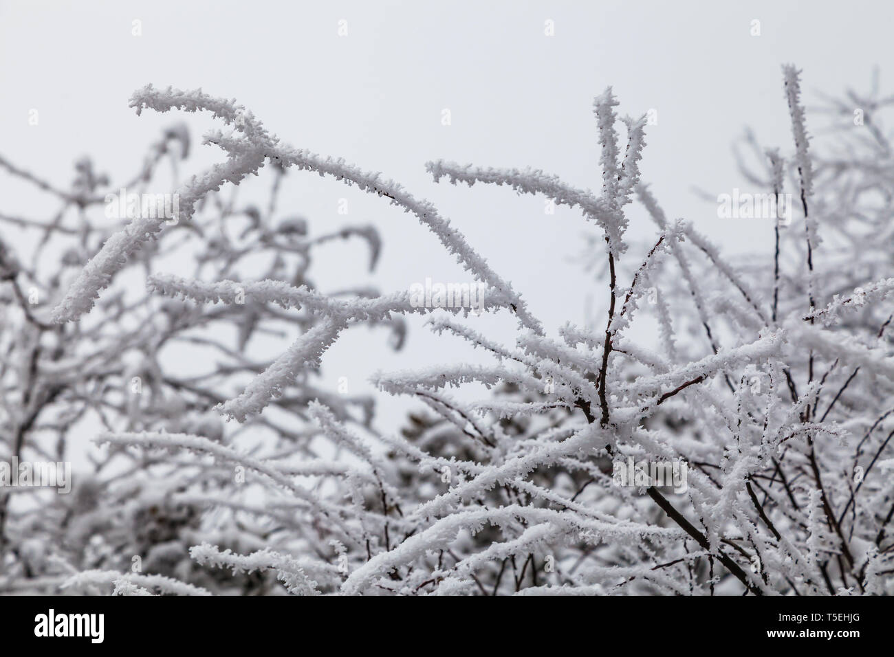 Frozen Winter Landscape in sichuan,China Stock Photo - Alamy