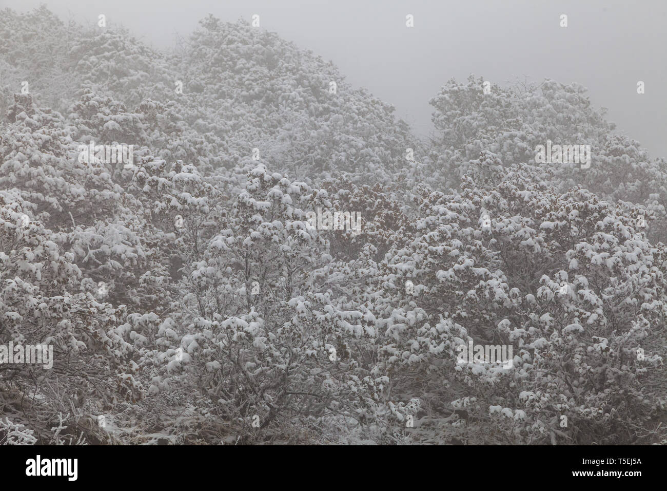Frozen Winter Landscape in sichuan,China Stock Photo - Alamy