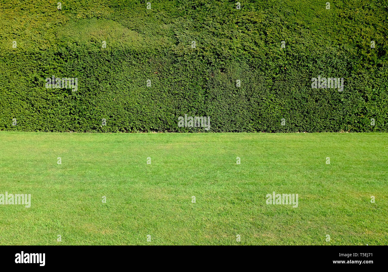 Neatly cut hedge hi-res stock photography and images - Alamy
