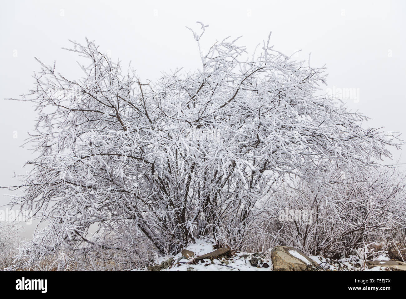 Frozen Winter Landscape in sichuan,China Stock Photo - Alamy
