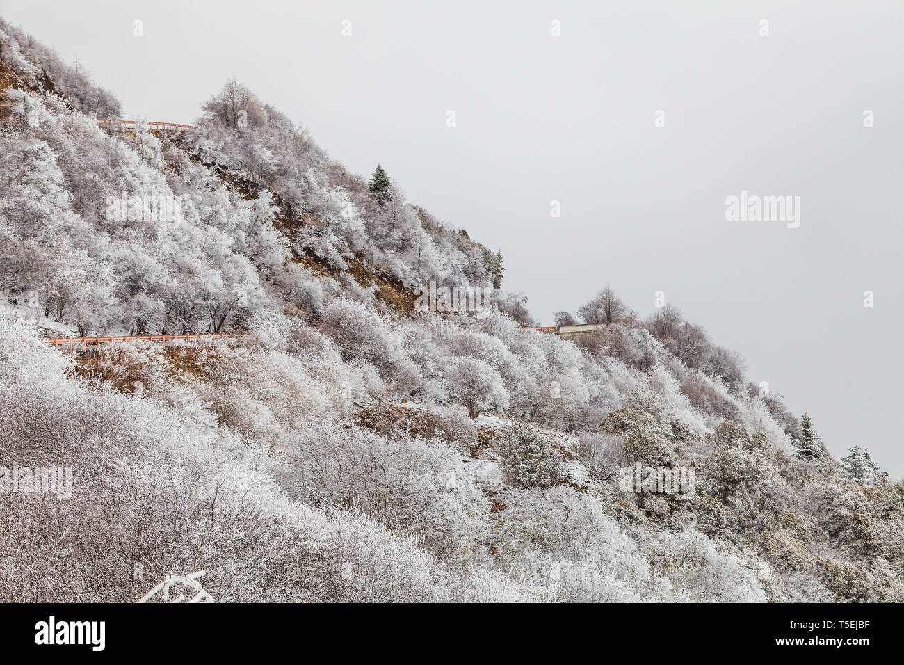 Frozen Winter Landscape in sichuan,China Stock Photo - Alamy