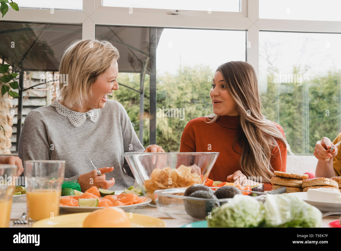 Two women talking dinner table hi-res stock photography and images - Alamy