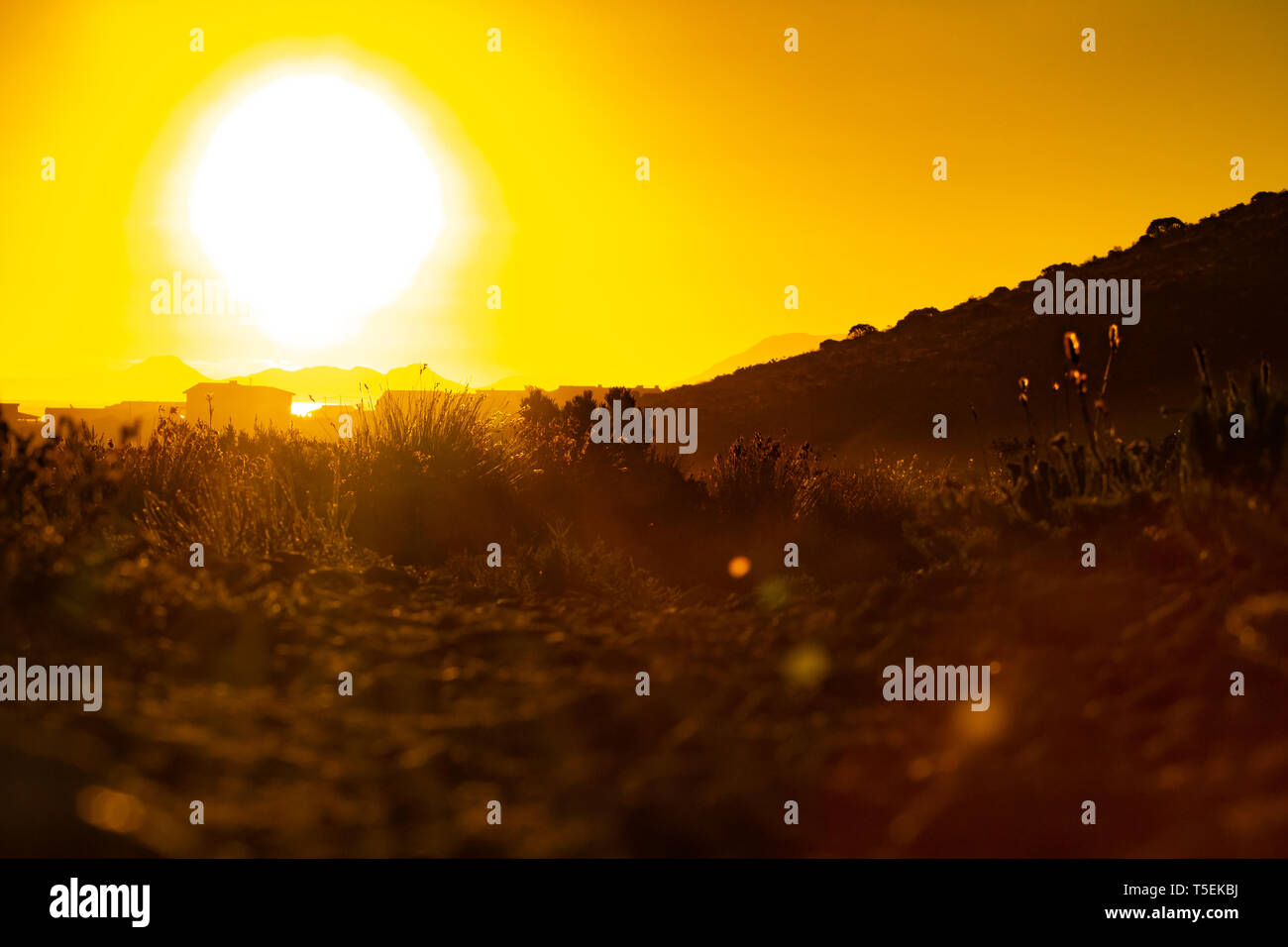 Golden ground level sunset Stock Photo - Alamy