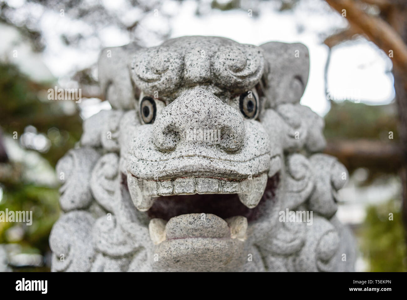 Kitami city hi-res stock photography and images - Alamy