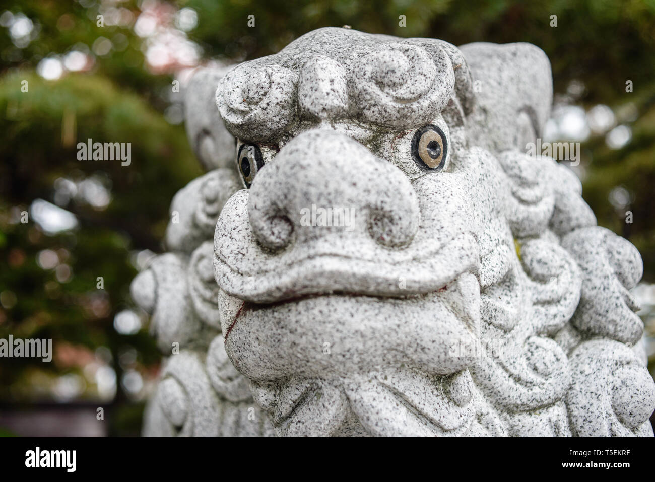 Shinto shrine in Kitami, Hokkaido, Japan Stock Photo - Alamy