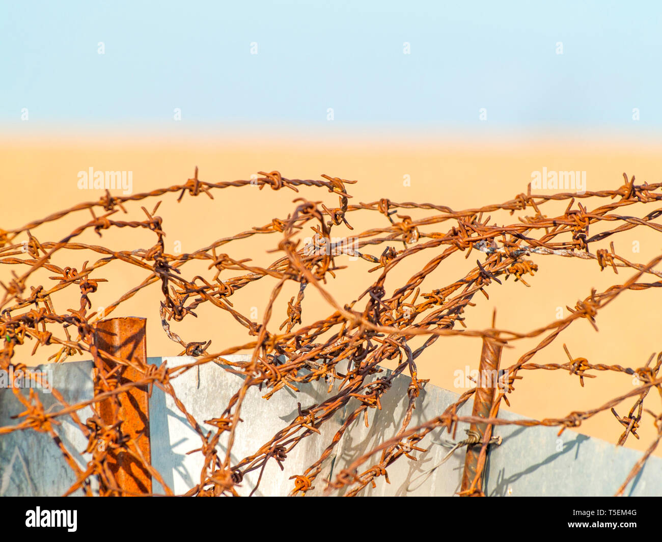 Barbed wire entanglement hi-res stock photography and images - Alamy