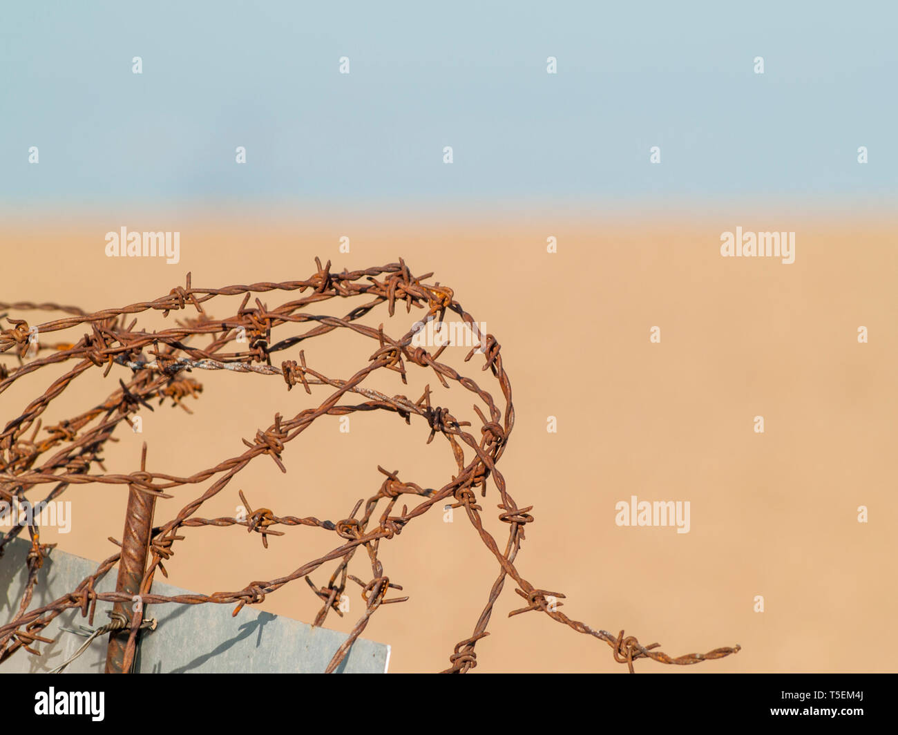 Barbed wire tangled up on countryside Stock Photo - Alamy