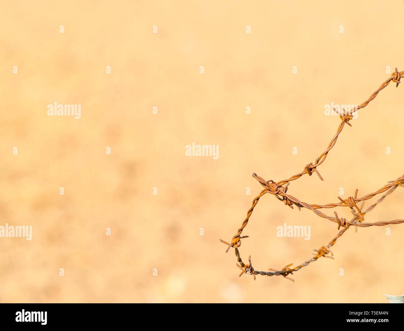 Barbed wire tangled up on countryside Stock Photo - Alamy