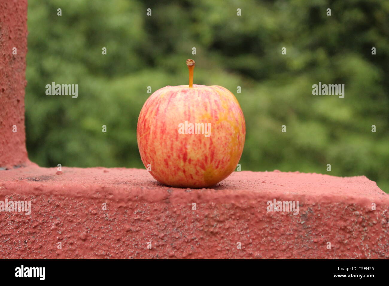 Beginnerphotograph hi-res stock photography and images - Alamy