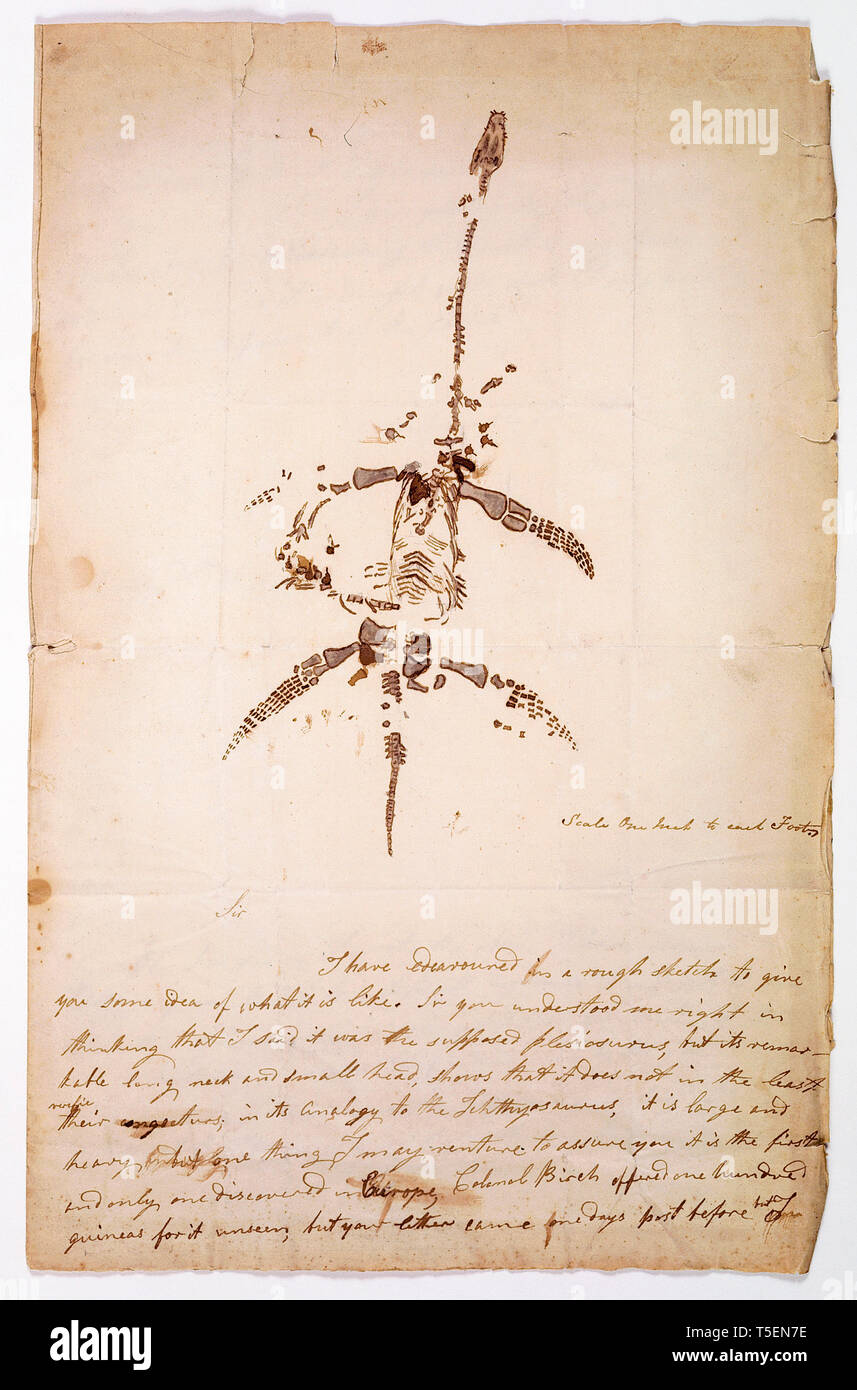 Plesiosaurus mary anning hi-res stock photography and images - Alamy