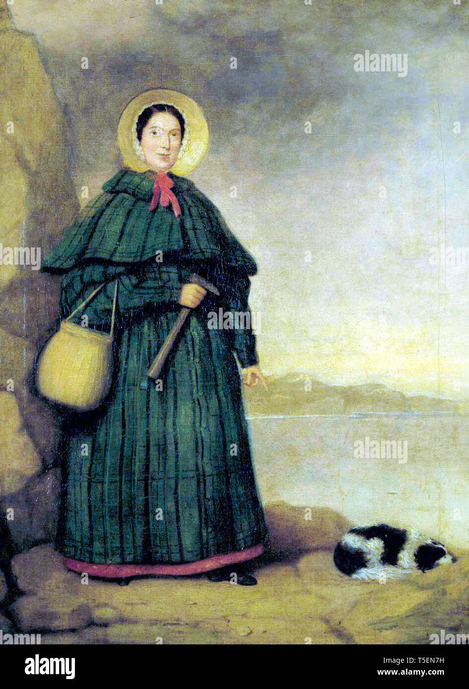 Mary anning fossil hi-res stock photography and images - Alamy