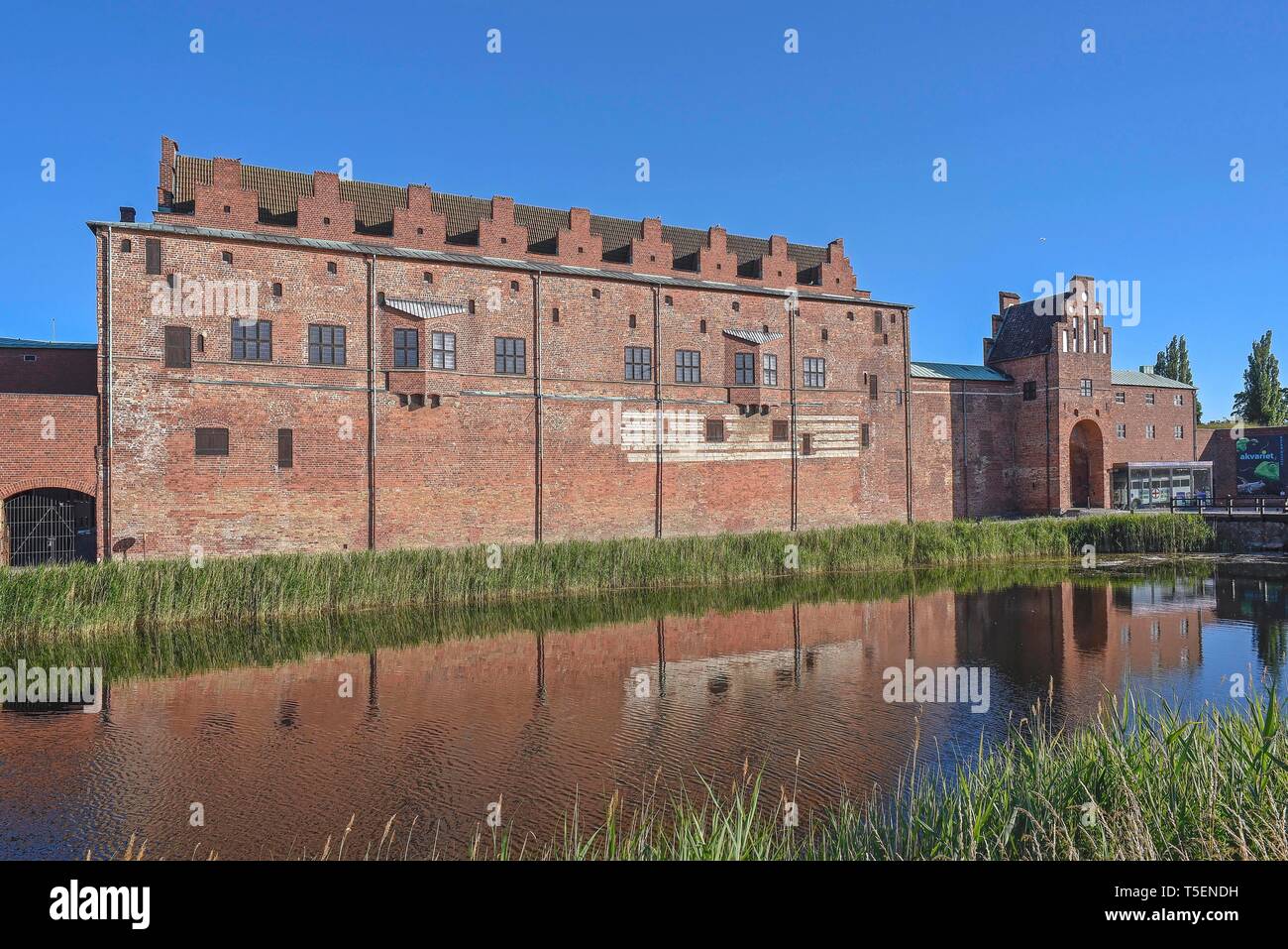Malmo castle sweden malmohus hi-res stock photography and images - Alamy